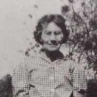 Alice Ophelia Steele (1873–1949) • FamilySearch