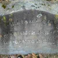William Louis Cox (1855–1928)