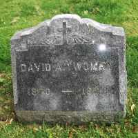 David Anthony Twomey (1870–1928)