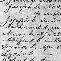 Nathaniel Young (1656–1704)