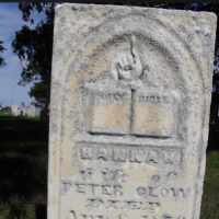 Hannah Palmer (1790–1876) • FamilySearch