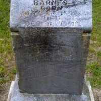 Mary Ellen Barnes (1849–1901) • FamilySearch