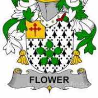 Sir John Flower (1525–1572)