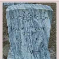 Thenie Frances Dampier (1878–1946) • FamilySearch