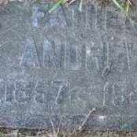 Andrew Johan Johnson (1857–1947)