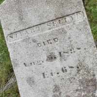 Steward Seelye (1771–1838)