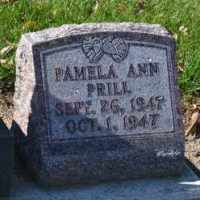 Pamela Ann Prill (1947–1947) • FamilySearch