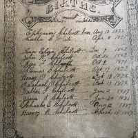 Ann Eliza Chilcott (1867–1938) • FamilySearch