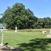 Martha A C Purvis (1832–1888) • FamilySearch