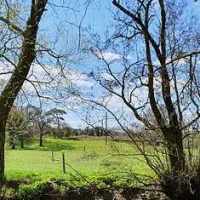 Anne Sulyard (1469–1520)