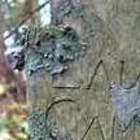 Laughlin Campbell (1711–1791)