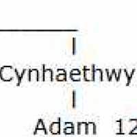 Cynhaethwy ap Adam (1225–1270)