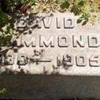 David Hammond (1830–1905)