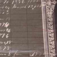 Tryphena Sirena Taylor (1871–1901)