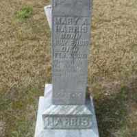 Mary Agnes Bledsoe Harris (1818–1908) • FamilySearch