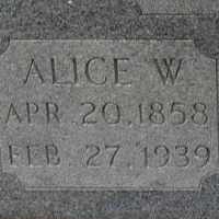 Alice Wyatt (1858–1939) • FamilySearch