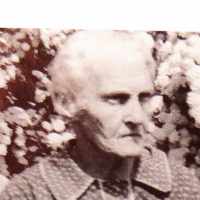 Mary Ellen Taylor (1857–1944) • FamilySearch