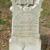 Jacob Enlow Lanehart (1832–1902)