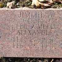 Jimmie A Alexander (1930–1930) • FamilySearch