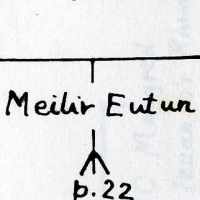 Lord Meilir Eutun ab Elidir of Eyton, Erlys, and Boraston (1090–)