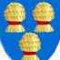 Julienne Comyn (1251–1337)