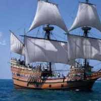 William Wilcoxson Jr (1601–1652)