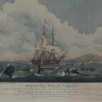 Thomas Jenkins (1707–1756)