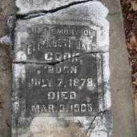 Elizabeth "Lizzie" Jane Cook (1878–1905) • FamilySearch