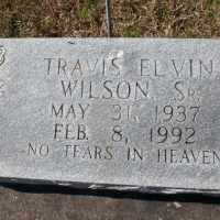 Travis Elvin Wilson Sr. (1937–1992) • FamilySearch