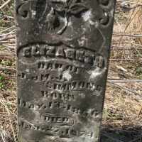 Elizabeth Simmons (1856–1873)
