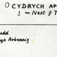 Cydrich ap Gwaethfoed (1000–1076)