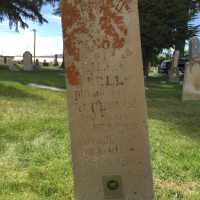 Lillie Bell Peacock (1864–1865) • FamilySearch