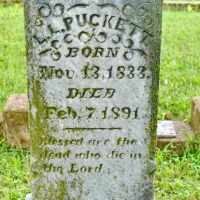 Lodwick Leonard Puckett (1833–1891)