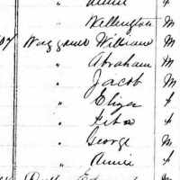 William Henry Waggoner (1842–1894)