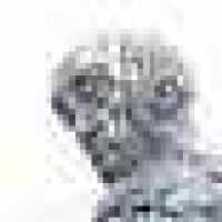 Bran Fendigaid "The Blessed" ap Llyr Lleddiarth of Catuvellauni (0030 ...