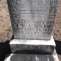 Elizabeth Lucy Steed (1875–1908) • FamilySearch