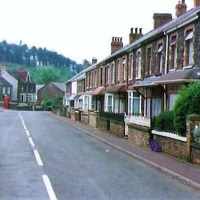 Thomas David Reese Jr. (1705–1783)