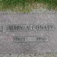 Mary Ann "Maymie" Conaty (1878–1950) • FamilySearch