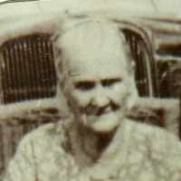 Sarah Elizabeth Phelps (1868–1945) • FamilySearch
