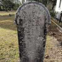 Angelina P. Moseley Dale (1844–1880) • FamilySearch