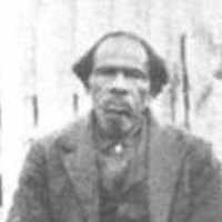 Thomas Lea Murray (1833–1900)