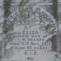 Eliza Morgan (1850–1912) • FamilySearch
