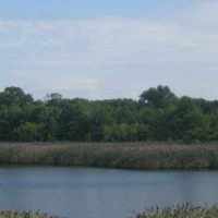 Sarah Pettit (1634–1704)