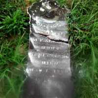 Calvin Mayes (1856–1880) • FamilySearch