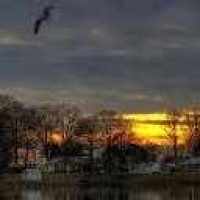 Elizabeth Nevitt (1703–1779) • FamilySearch