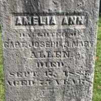 Amelia Ann Allen (1809–1883)