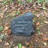 Rachel Reed (1796–1875) • FamilySearch