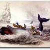 William Hoard (1801–1866)