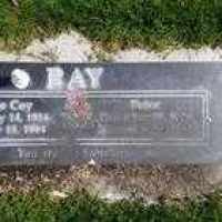 Peter Ray (1910–1981)