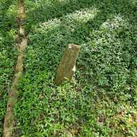 John Elisha Layne Jr (1685–1754)